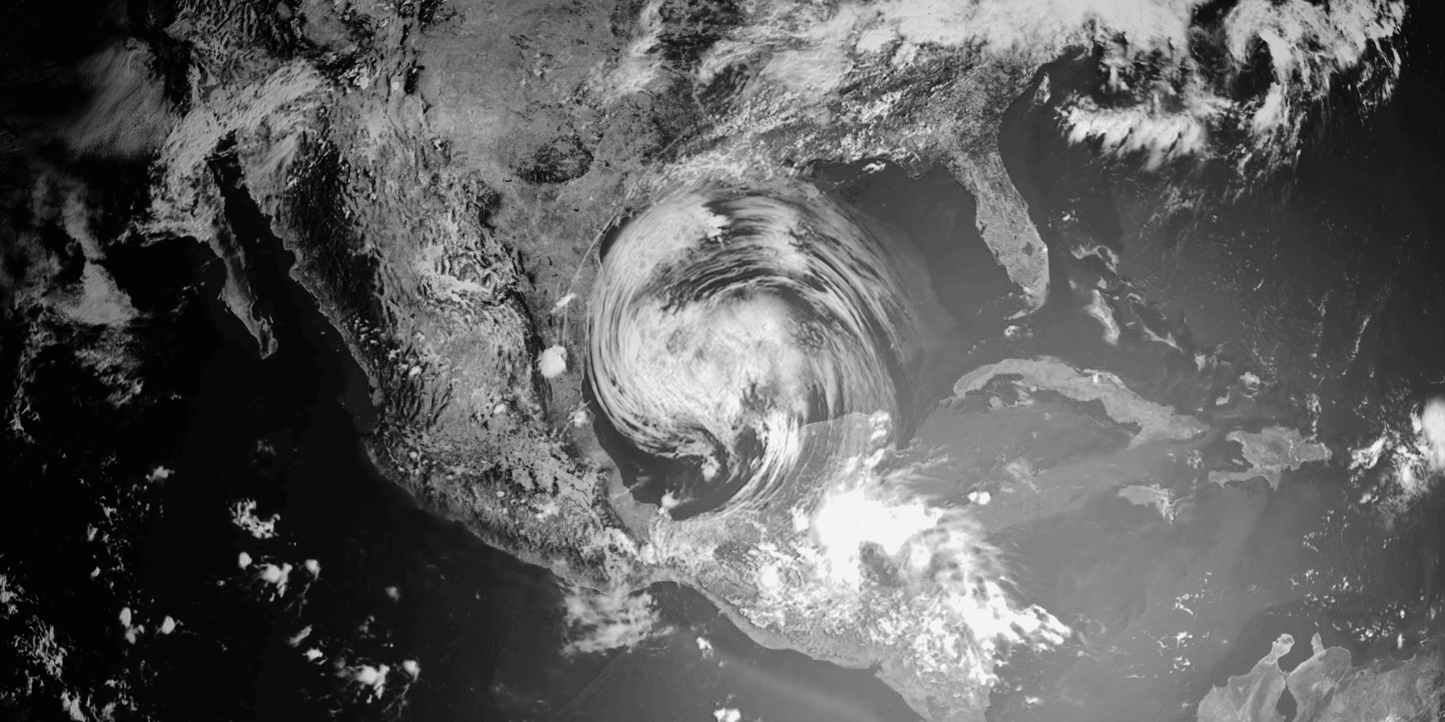 Event Response | McKenzie Intelligence Services